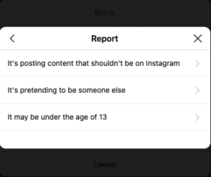 How to Get an Instagram Account Banned: Ultimate Guide - DMCA Authority